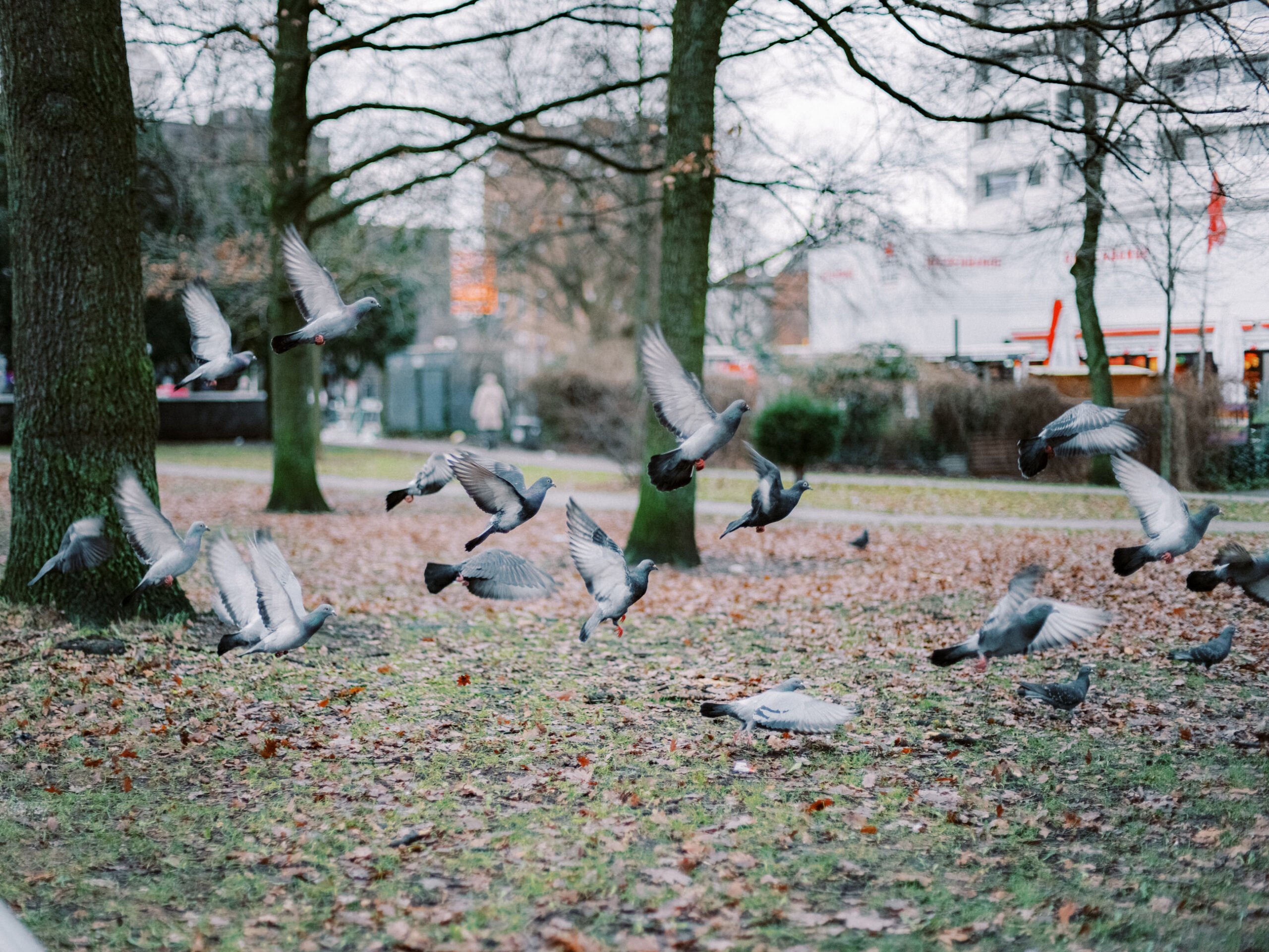 Travel Stills - Jacob Cabral Photography